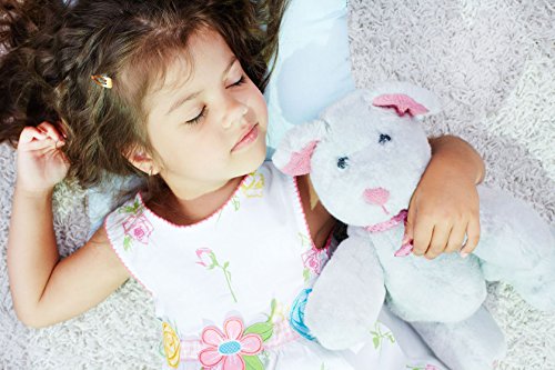 Mother Sheep Organics Organic Wool Toddler and Kids Pillow, Travel Pillow, 14x19
