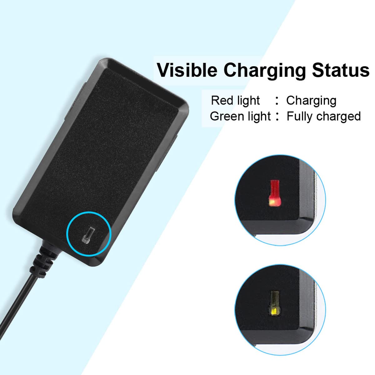 Cordless Water Flosser Charger Cord for Waterpik WP360 WP462 WP450 WP360W WP462W WP450W Replapcement Water Flosser Power Cord 3V DC 2-Prong Adapter YLA-03010 WP-400 Series
