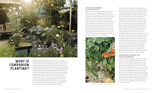 Companion Planting for Beginners: Pair Your Plants for a Bountiful, Chemical-Free Vegetable Garden