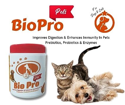 Pets Unique Blend of Prebiotics, Probiotics,Vitamins & Enzymes,Improves Digestion & Builds Immunity in Cats and Dogs 100 gm Each