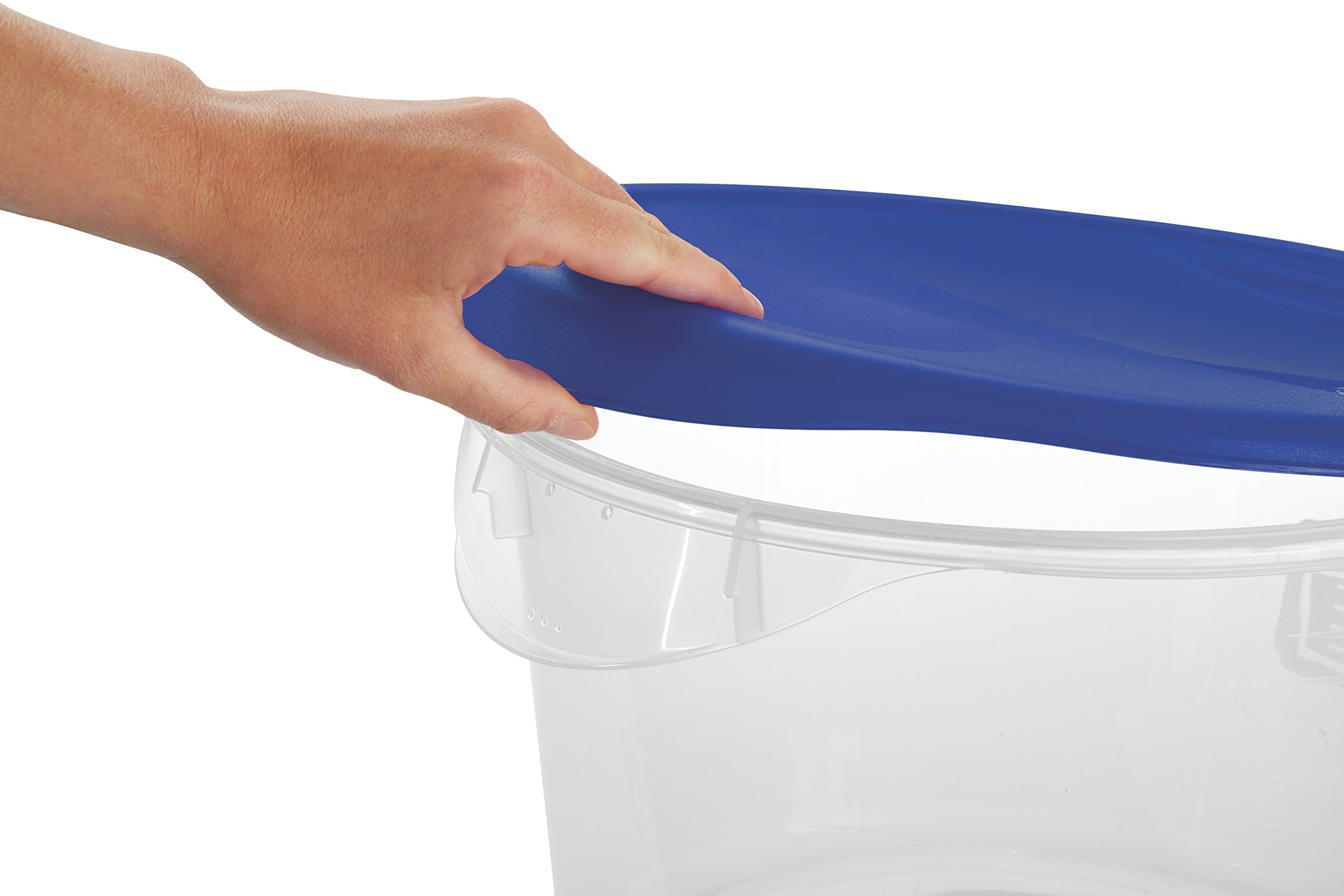 Rubbermaid Commercial Lid (Lid Only) for Round Food Storage Container, Fits 8 Qt. Containers, Blue (1980382)