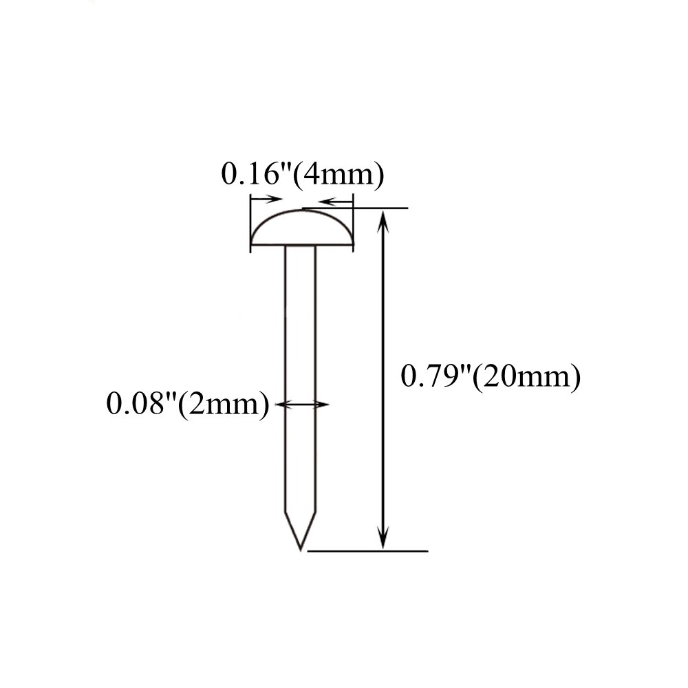 RZDEAL 100 PCS 0.08'' x 0.79'' Round Head Brass Nails for Hinges Boxes Craft Projects(DIY)