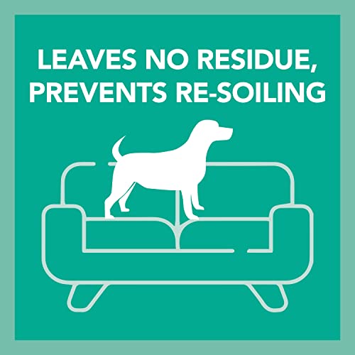 Boxie® Pro™Probiotic Gently Scented Stain & Odor Stopper™ for Dogs, 24 oz Boxiecat