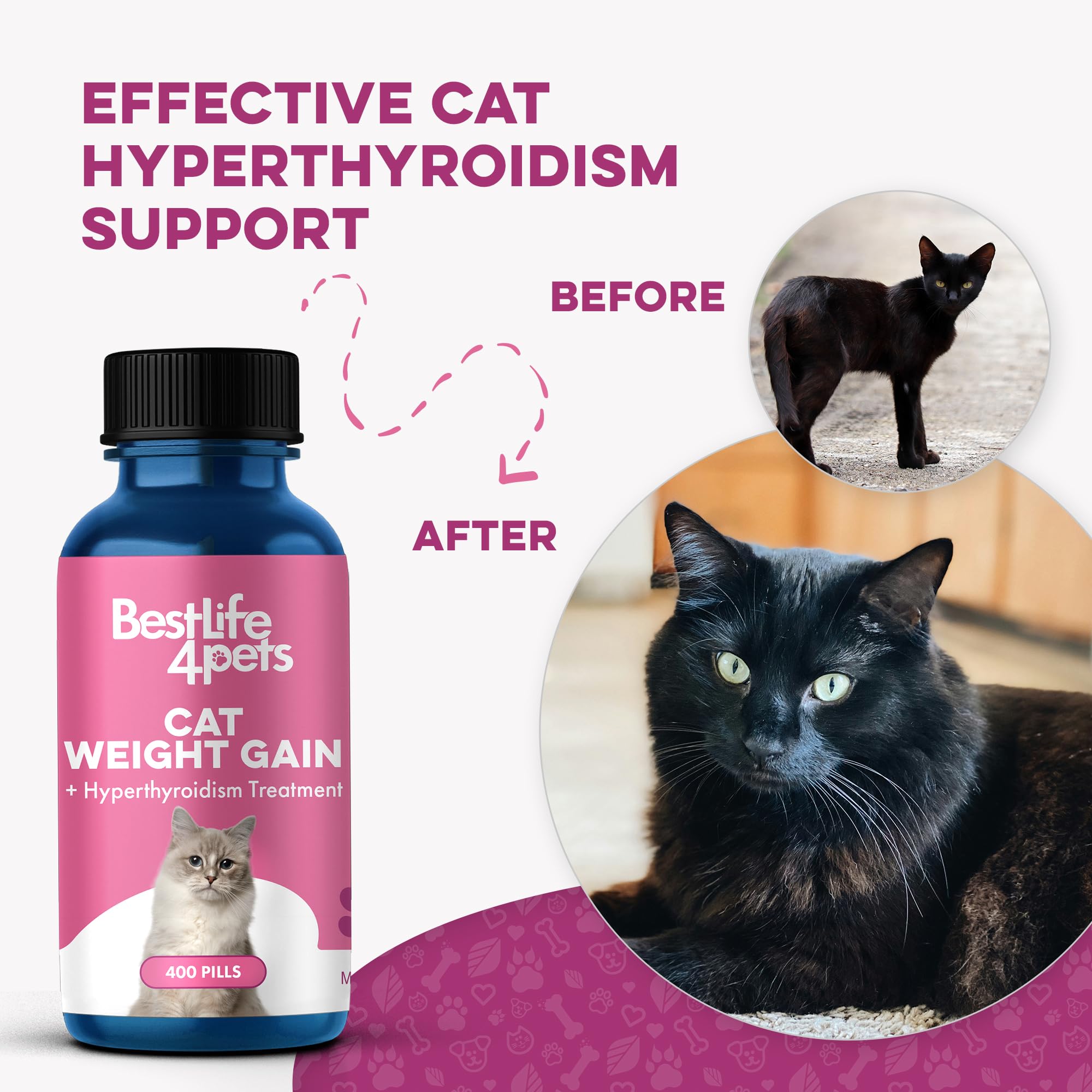 Cat Weight Gain & Hyperthyroidism Treatment - Safe and Effective Cat Appetite Stimulant, Thyroid and Metabolic Support, and Cat Weight Management Remedy - 400 All-Natural Odorless, Tasteless Pills