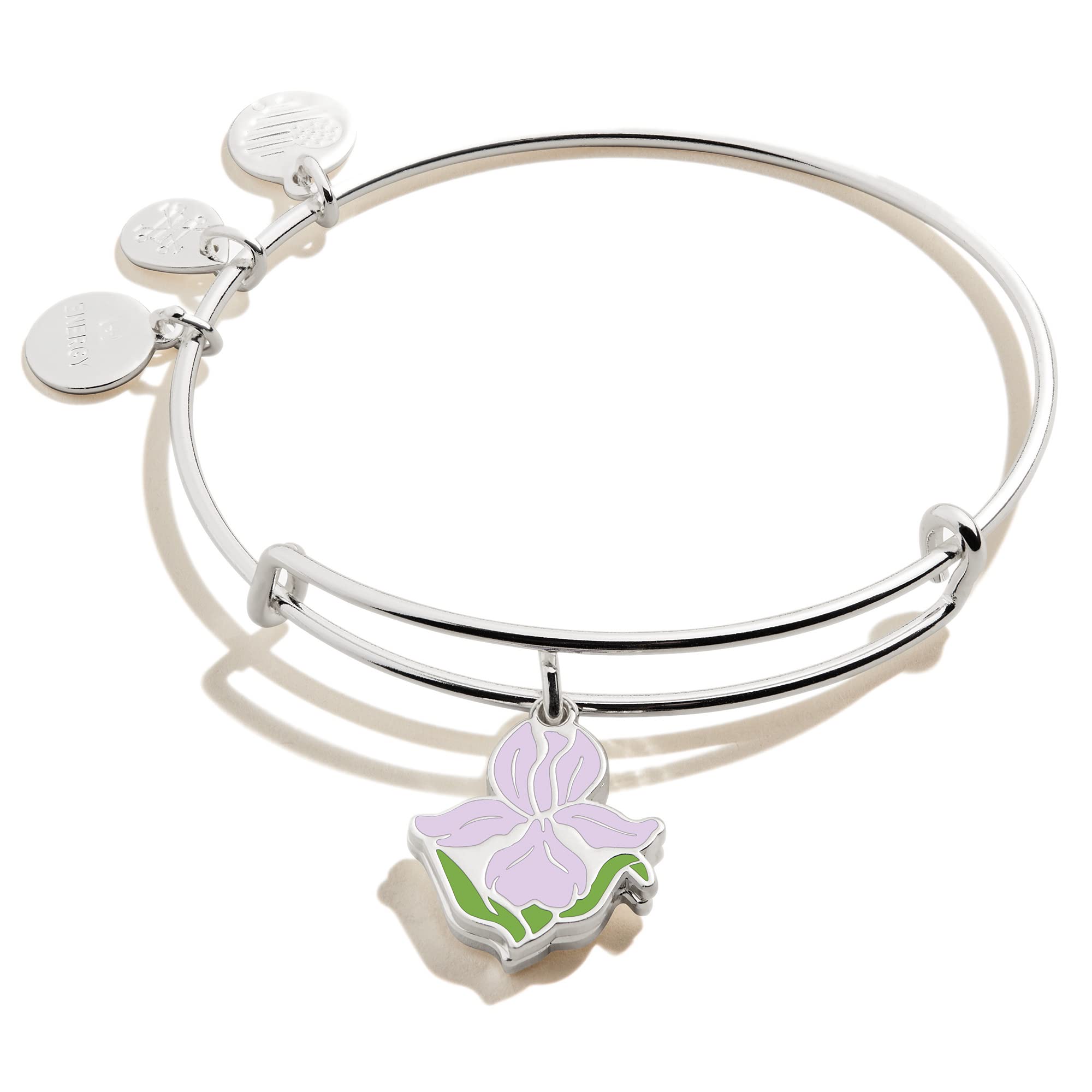 Alex and Ani Iris Sentimental Slider Charm Bangle Bracelet - Shiny Silver Finish - 2 to 3.5 in