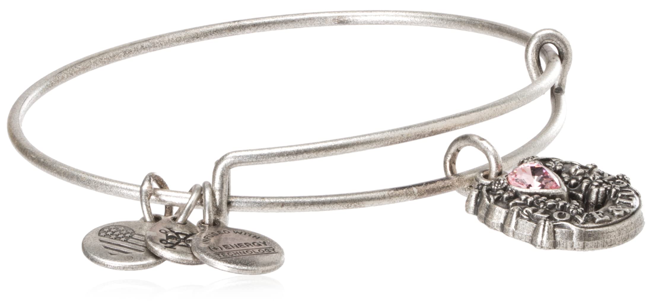 Alex and Ani Path of Symbols Expandable Bangle for Women, Fortune’s Favor Charm, Rafaelian Silver Finish, 2 to 3.5 in