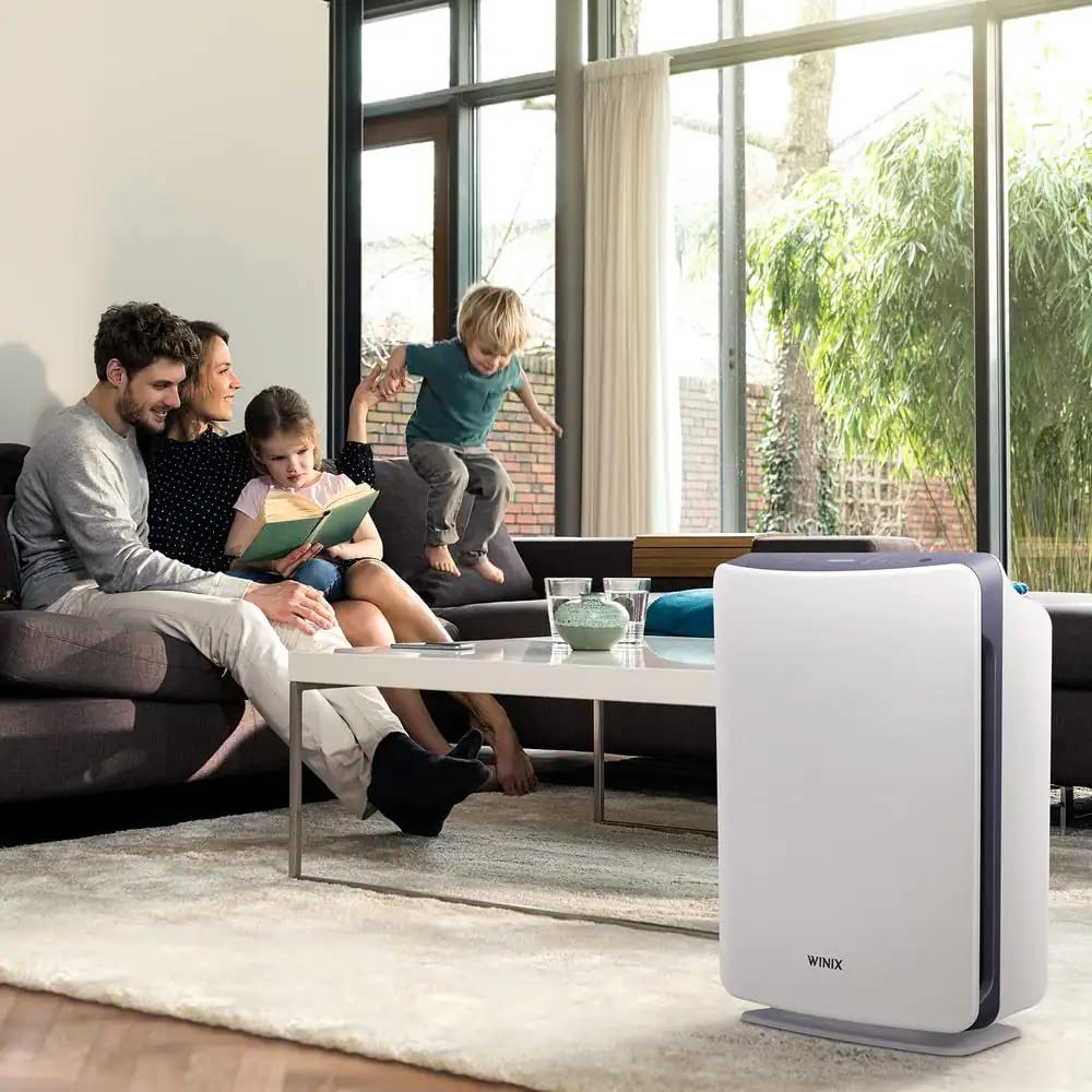 Winix 1022-0221-02 D480 True HEPA 3-Stage Air Purifier, AHAM Verified for 480 sq. ft.
