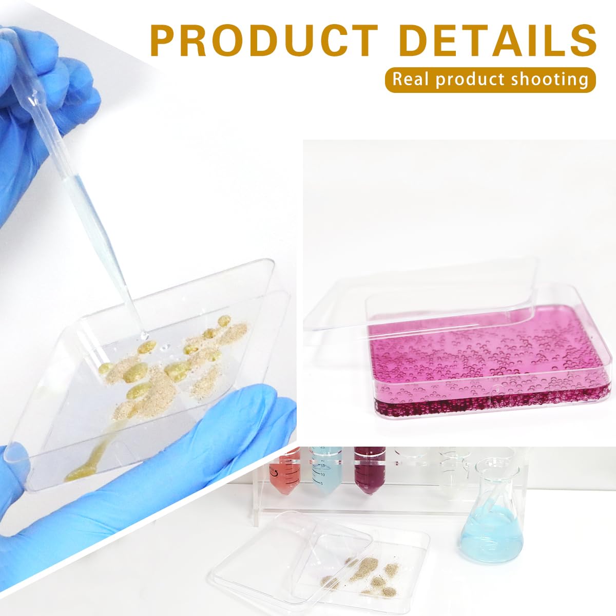 BIPEE 10 Pack Sterile Thick Plastic Petri Dishes with Lid,10cm x 10cm Square Petri Dish for Lab Science Experiment