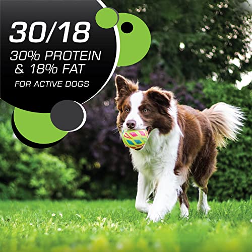 Iams Proactive Health Adult Active Dry Dog Food with Chicken and Turkey, 13.5 lb. Bag