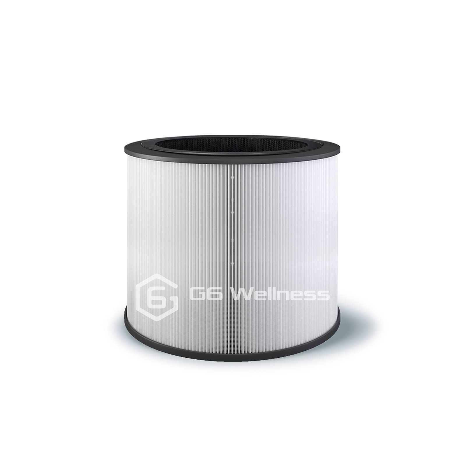 G6 Wellness Replacement H13 True HEPA Filter Compatible with LG PuriCare 360 Air Purifiers AS560DWR0