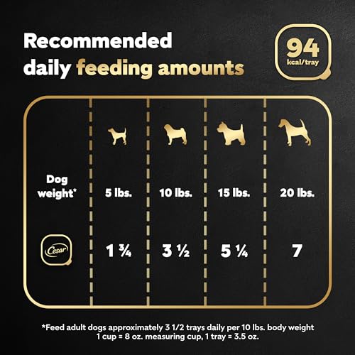CESAR Adult Soft Wet Dog Food Filets in Gravy, Filet Mignon Flavor, 3.5 oz. Tray