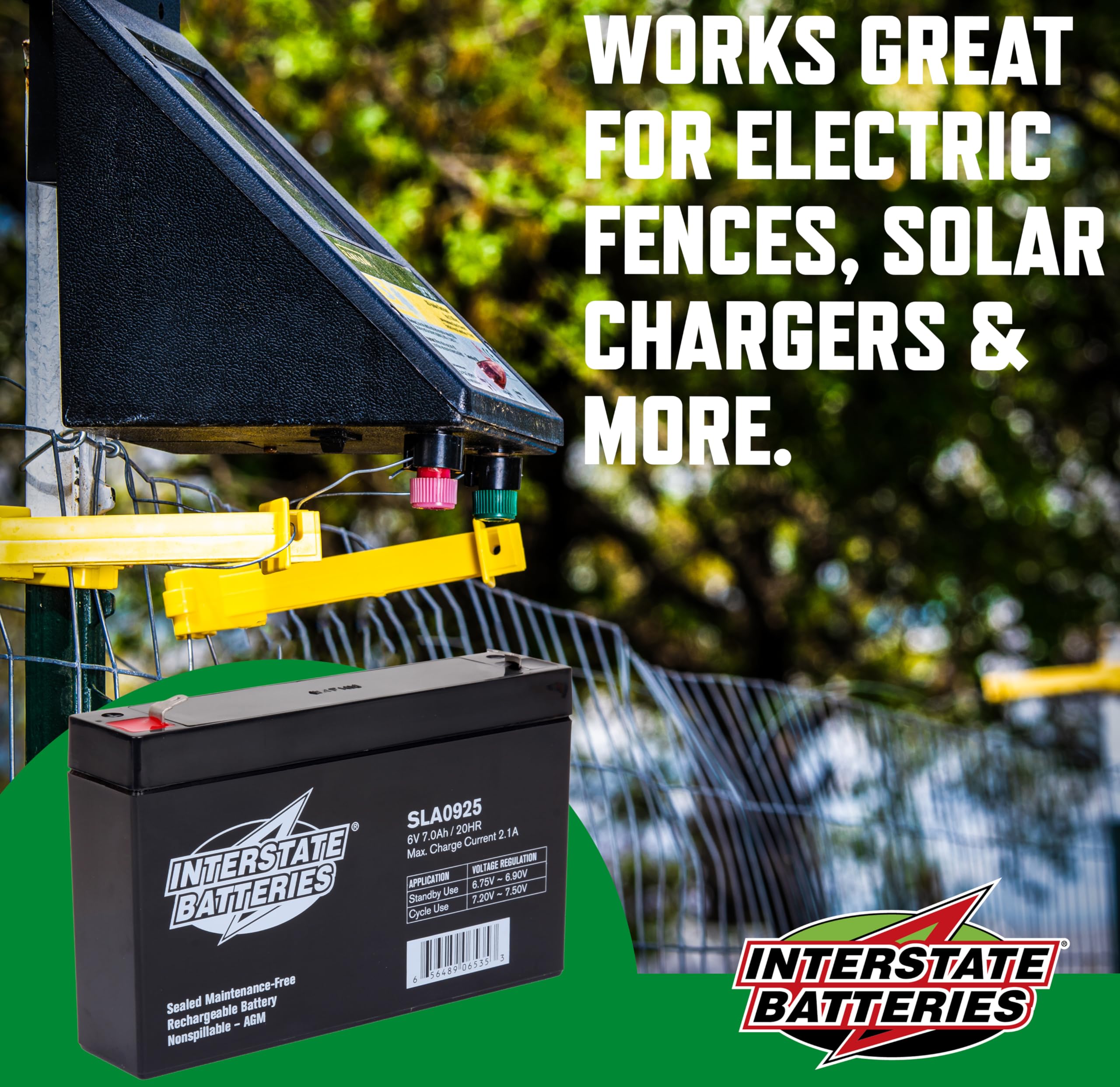 Interstate Batteries 6V 7Ah Battery (F1 Terminal) SLA AGM VRLA Rechargeable Replacement for Electric Fences, UPS Backup Systems, Solar, Medical Devices (SLA0925)