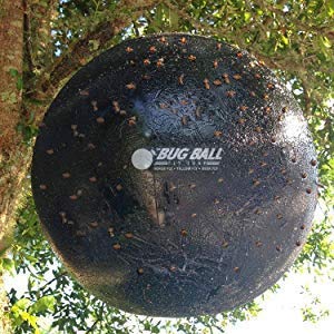 Bug Ball Replacement Ball, 4 Pack - Odorless Eco-Friendly Biting Fly and Insect Killer with NO Pesticides or Electricity Needed, Kid and Pet Safe