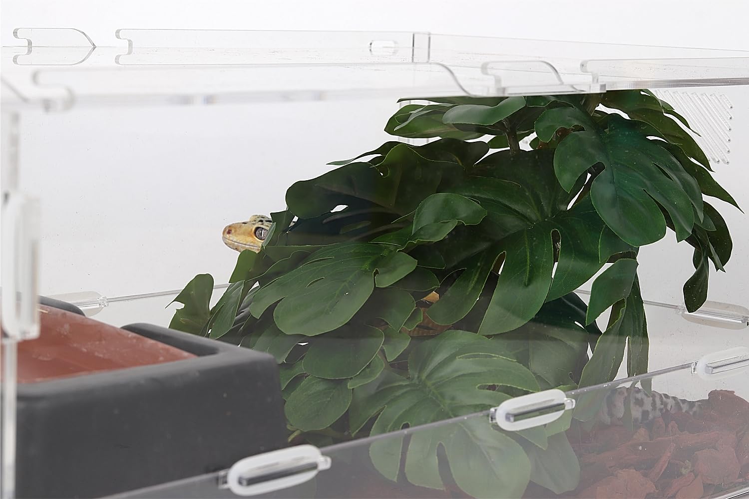 WOLEDOE Reptile Plants for Terrarium, Ball Python Tank Decor Accessories fit Bearded Dragon Crested Leopard Gecko Lizard Chameleon Snake Frog Tortoise Hermit Crab - Fake Monstera