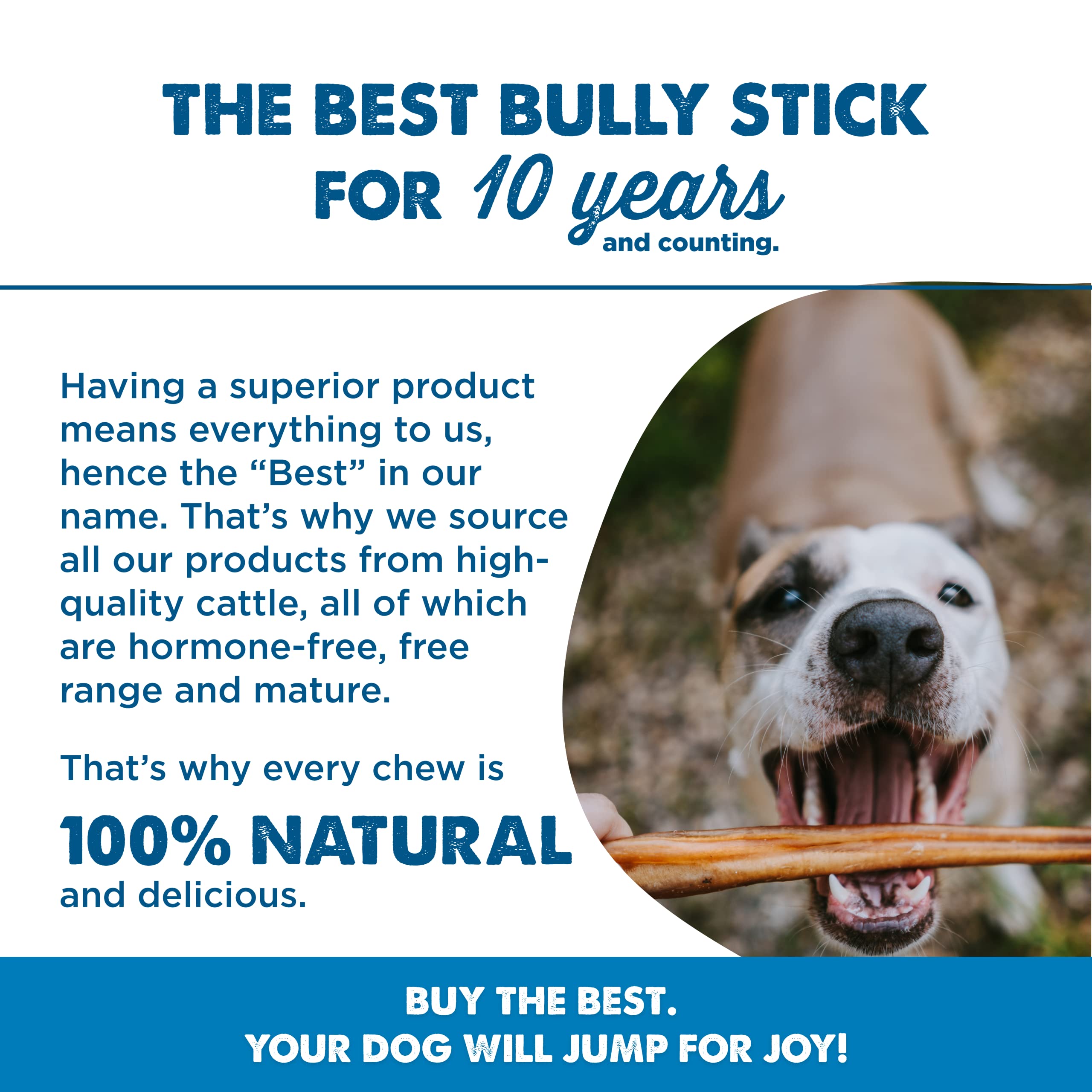 Best Bully Sticks 12 Inch All-Natural USA-Baked Bully Sticks for Dogs - 12β Easily digestible, 100% Grass-Fed Beef, Grain and Rawhide Free | 10 Pack