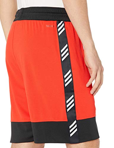 adidas Men's Pro Madness Shorts, Active Red, Medium