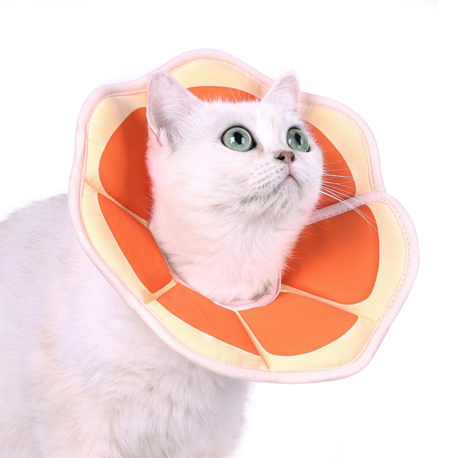 Pawfun Cat Cone Collar Soft, Protective Cat Recovery Collar to Stop Licking After Surgery, Comfortable Kitten Cones Elizabethan Collar for Small Medium Large Cats Prevent from Licking Wounds