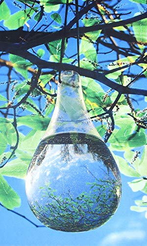 Esschert Design Glass Fly Deterrent