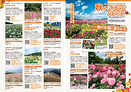関西秋Walker2021 ウォーカームック