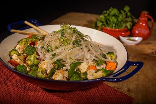 Broil King Cast Iron Porcelain Wok