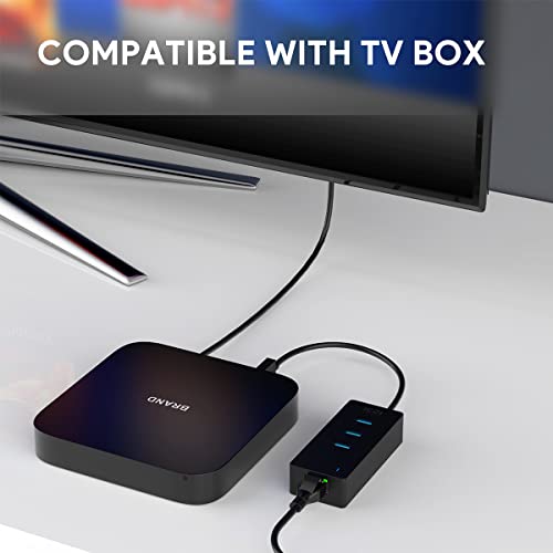 ICZI 3-Port USB 3.0 Hub with 10/100/1000 Gigabit Ethernet Adapter (RJ45 Gigabit Ethernet Converter), LED Indicator, for MacBook, MacBook Pro, MacBook Air, Surface 3/Pro 3/Pro4/Pro (2017) and More