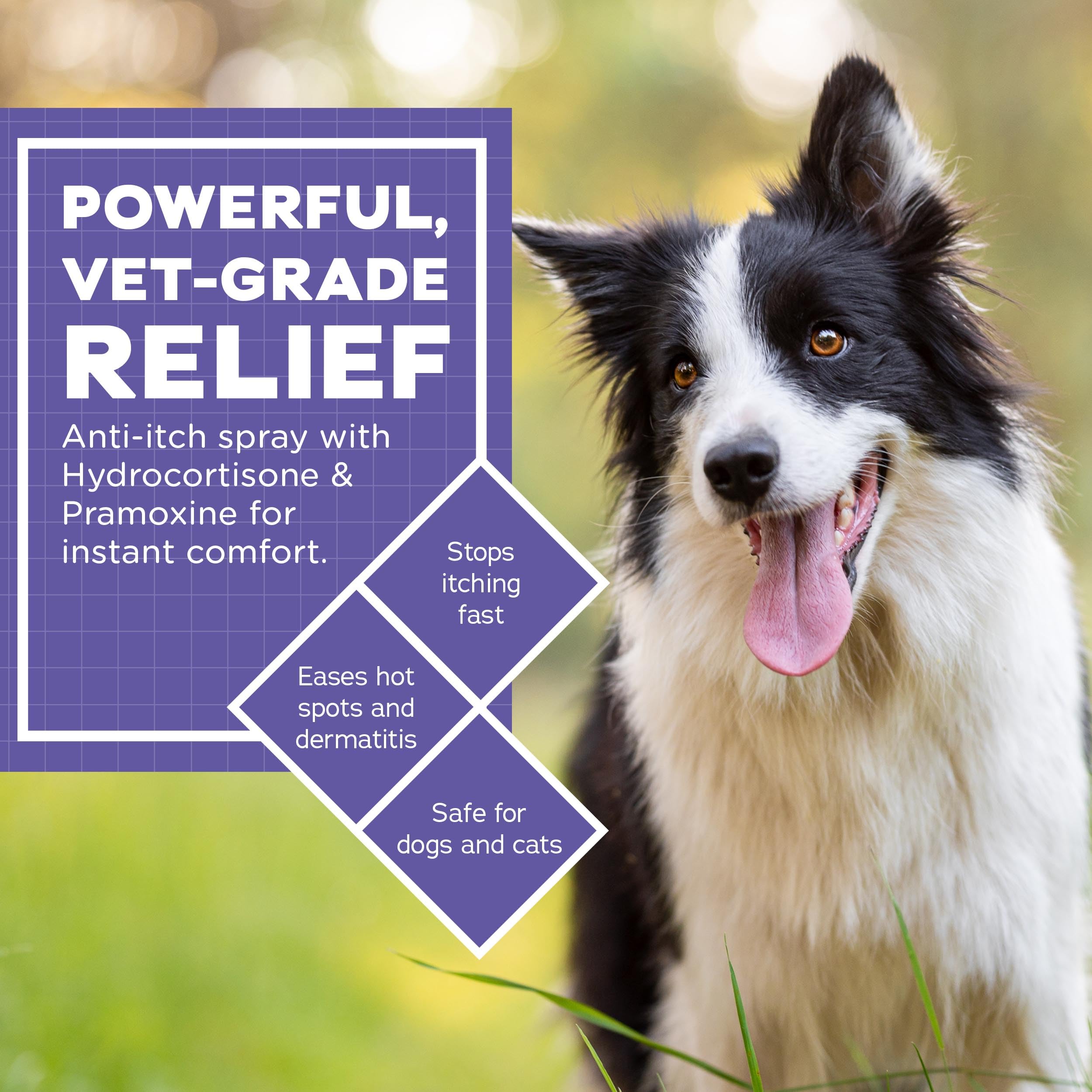 VetWELL Hydrocortisone Spray for Dogs & Cats - Itchy Skin Relief from Hot Spots, Bites, Scrapes, Irritated Skin, & Dermatitis - 4 oz Anti Itch Spray with Pramoxine