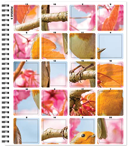Brain Games - Sticker by Number: In the Garden (Easy - Square Stickers): Create Beautiful Art With Easy to Use Sticker Fun!