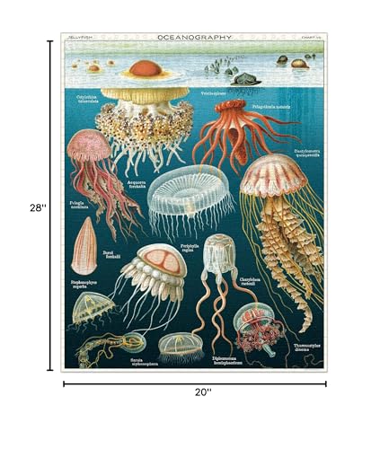 Cavallini Papers & Co. Jelly Fish 1,000 Piece Puzzle, Multi