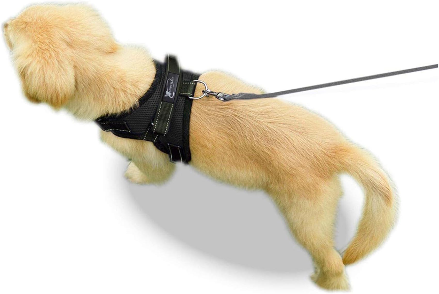 Copatchy Dog Harness Small Sized Dogs - All Weather Mesh overhead adjustable no pull Vest Puppy reflective Harness with handle for Extra Small and Small Dogs by Copatchy - Harness (Black) X-Small