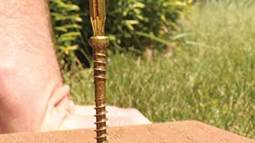 GRK 772691167309 8 x 2-1/2" Fasteners 16730 FIN/Trim Screws 605CT, Gold, 605 Count