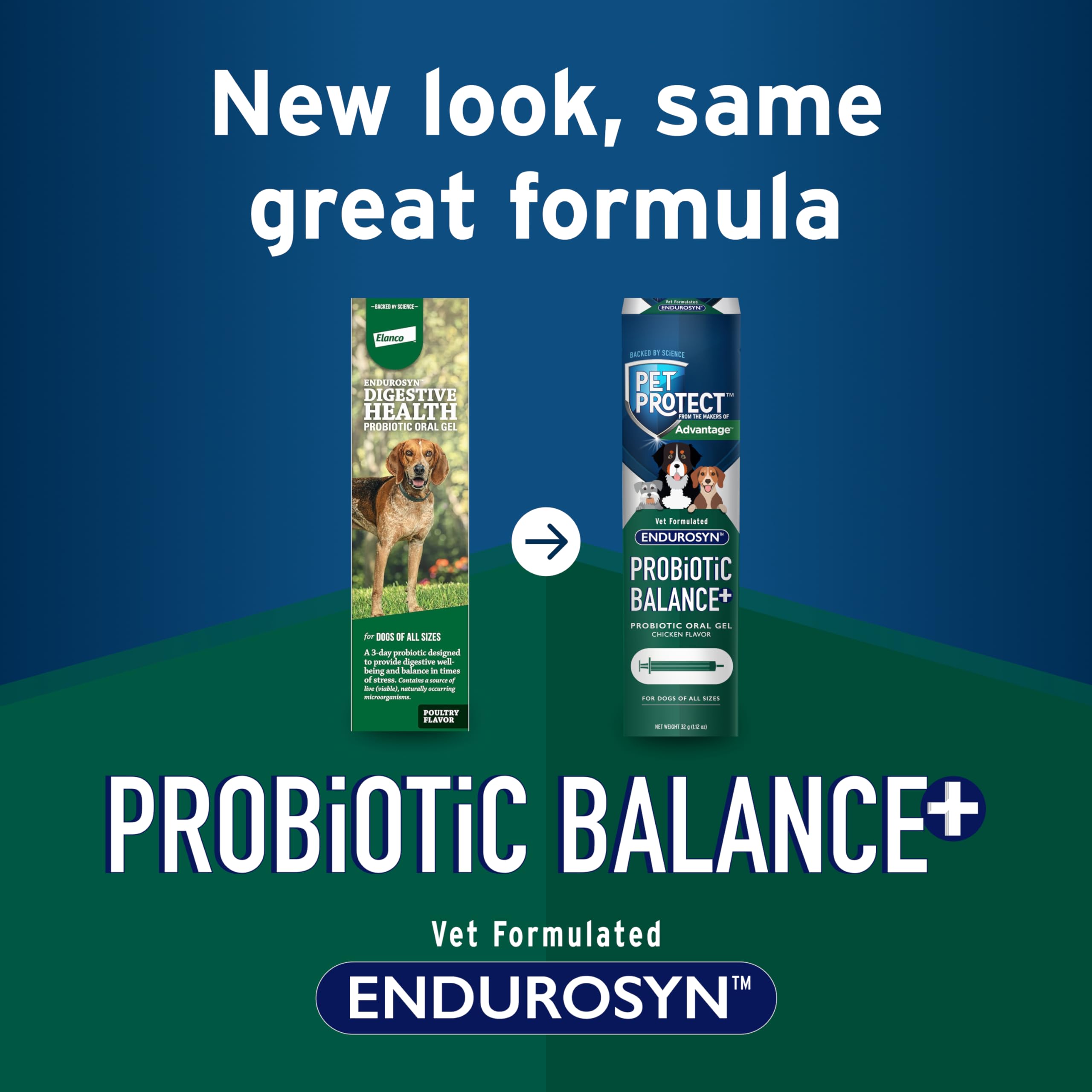 Bundle of Advantage II Large Dog| Dogs 21-55 lbs. | 4-Month Supply + Pet Protect Probiotic Balance+ Dog Supplement | Oral Gel | 32g