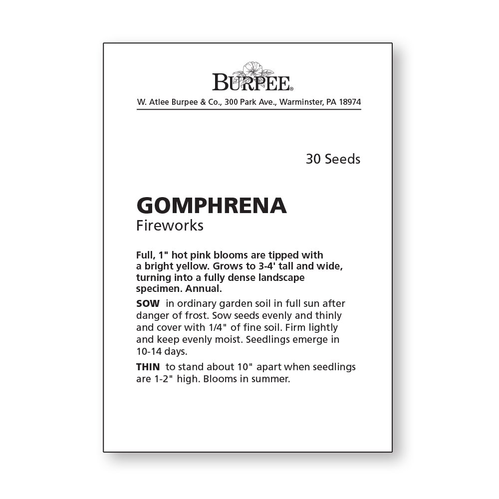 Burpee Fireworks Gomphrena Seeds 30 seeds