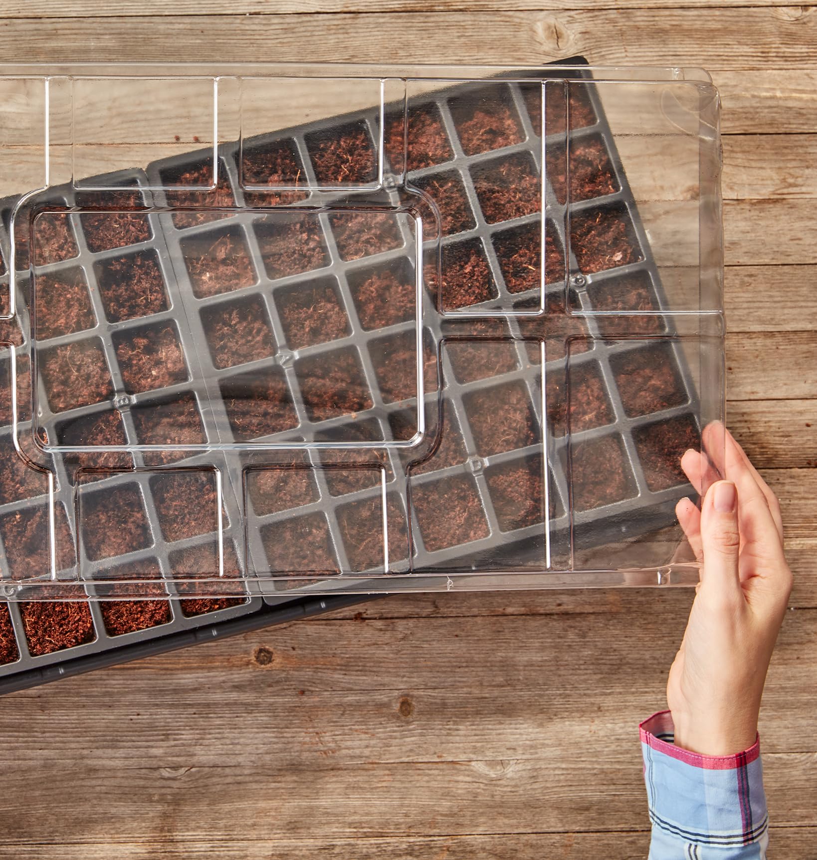 Burpee Self-Watering Seed Starter Tray, 72 Cells