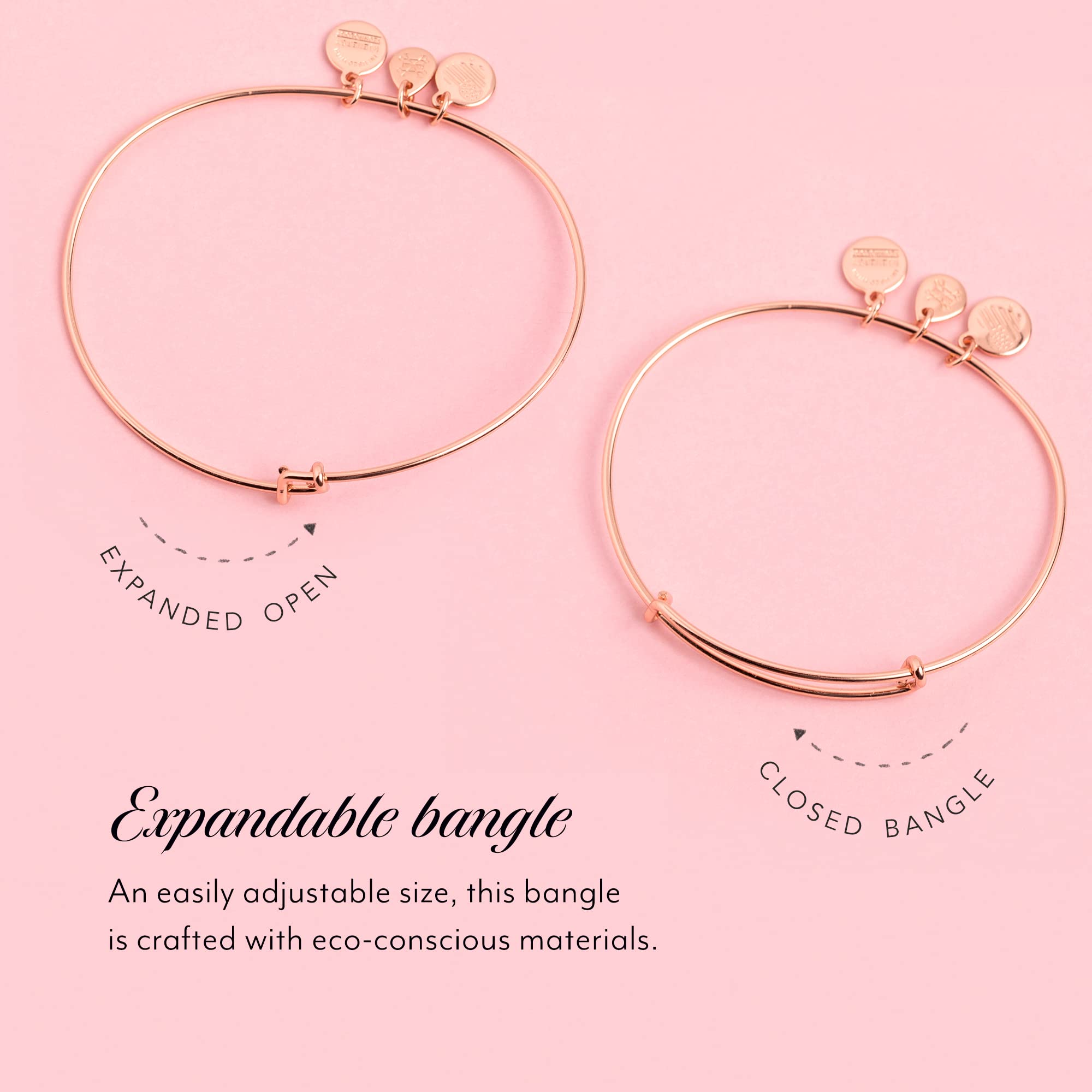 Alex and Ani Path of Symbols Expandable Bangle for Women, 2022 Graduation Cap Charm, Rafaelian Gold Finish, 2 to 3.5 in