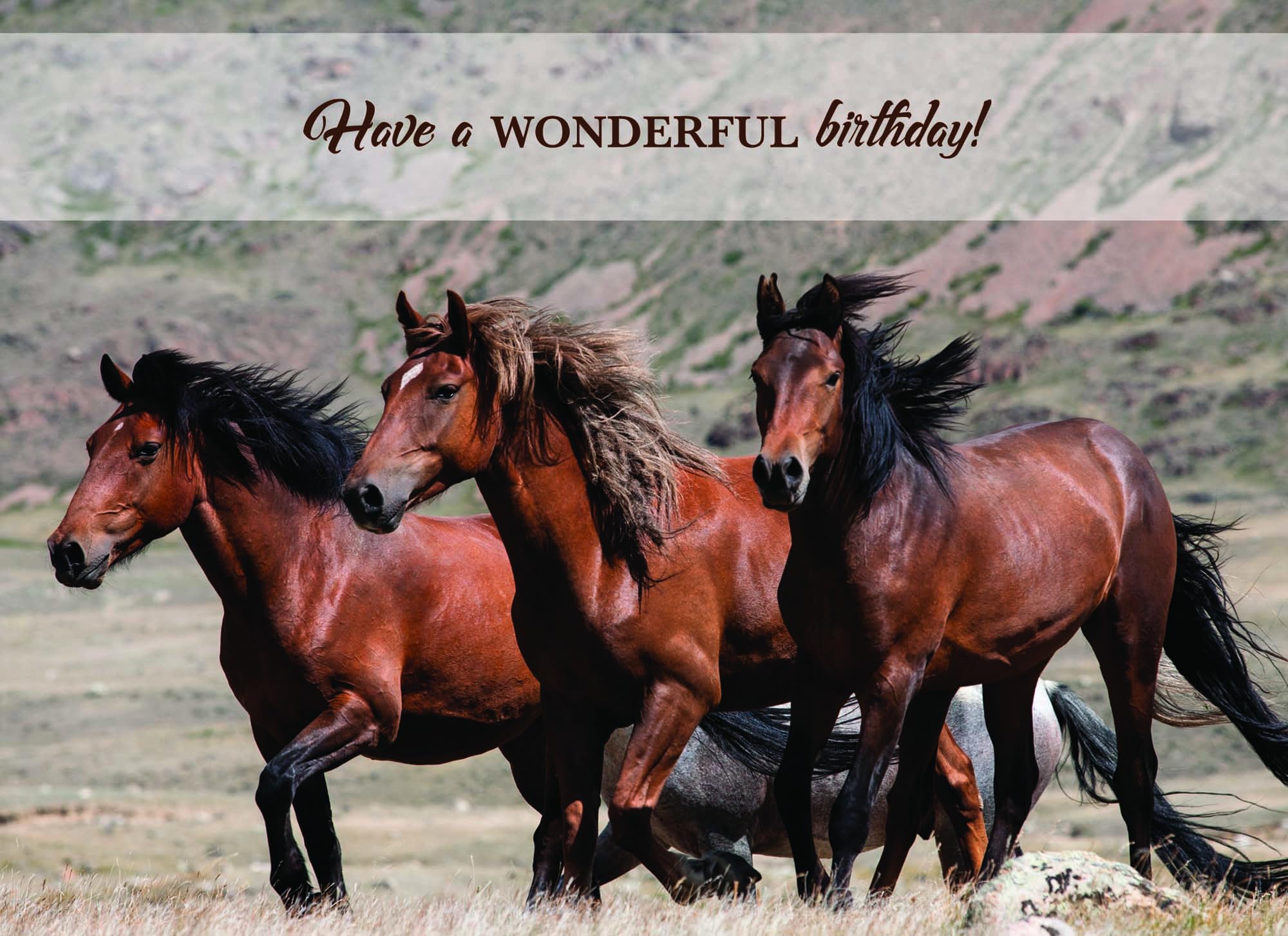 CPG Card-Boxed-Shared Blessings-Birthday Wild Horses (Box of 12)