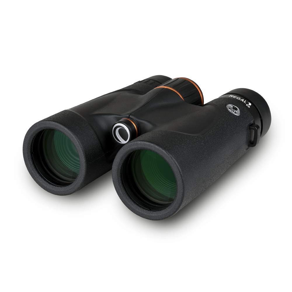 Celestron – Regal ED 10x42 Binocular – ED Binoculars for Hunting, Birding and Outdoor Actvities – Phase and Dielectric Coated BaK-4 Prisms – Fully Multi-Coated Optics – 6.5 Feet Close Focus