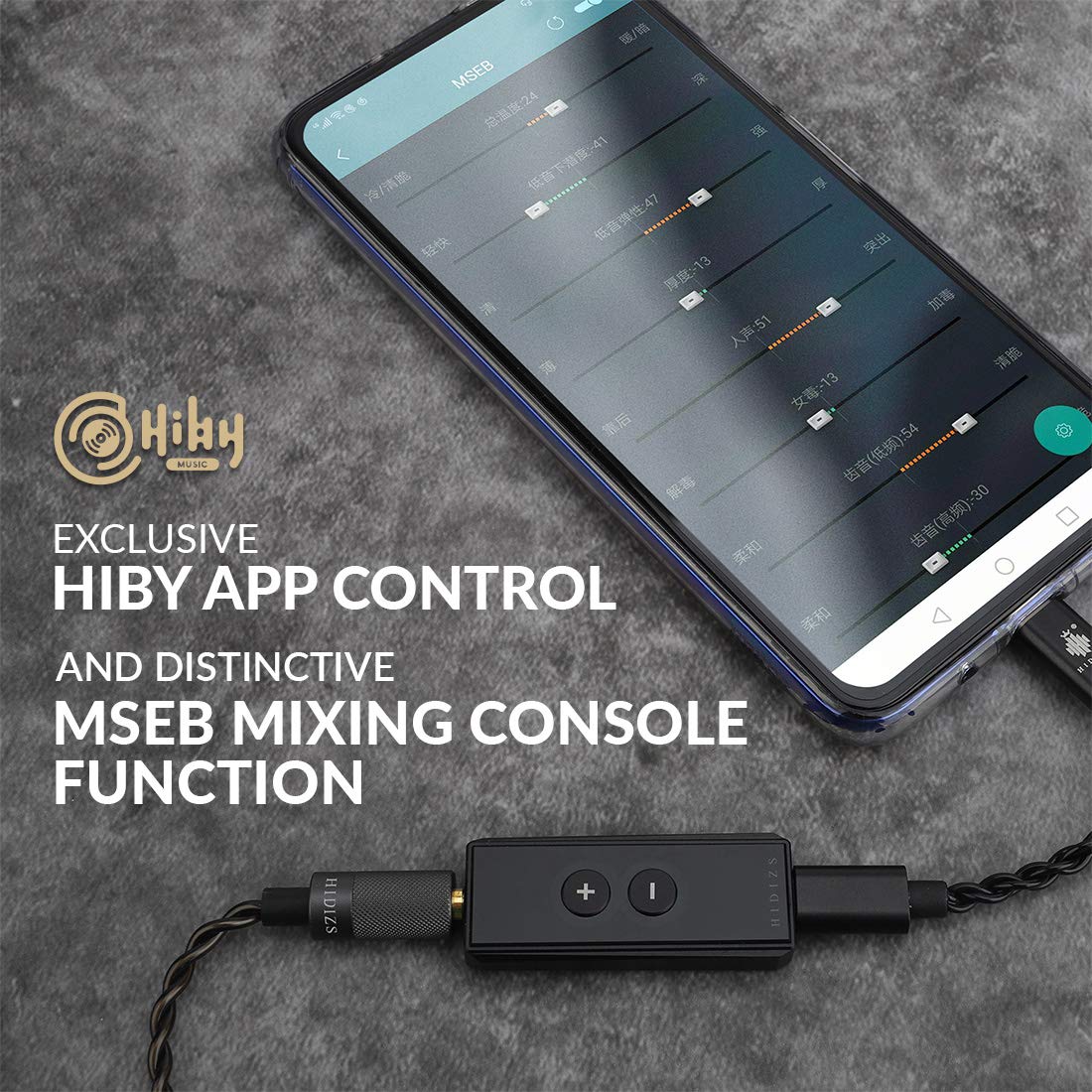 HIDIZS S8 USB DAC Amp, 384kHz / 32Bit USB C Portable HiFi Audio Decoding Amplifier for iPhone iPod Android Computer with Windows/Mac OS/iOS/iPad OS System (4 Interface Cable Included, Silver)