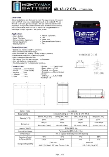 Mighty Max Battery 12V 18AH GEL Battery for Jump n Carry JNC660 JNCAIR JNC 660