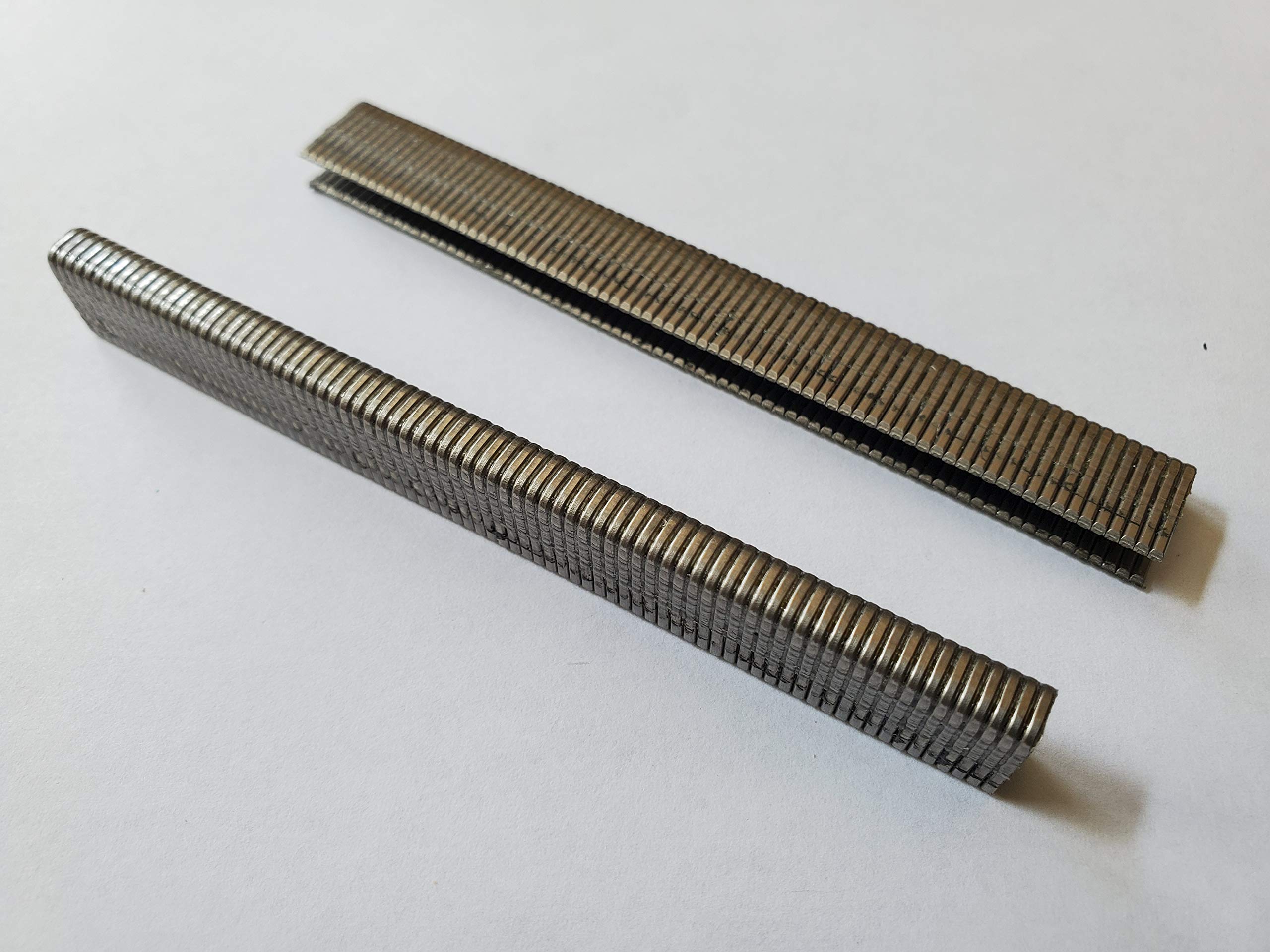 NAILPRO L11SS Stainless Steel 1/4" Narrow Crown x 3/4" Leg Staples, 1000 Count