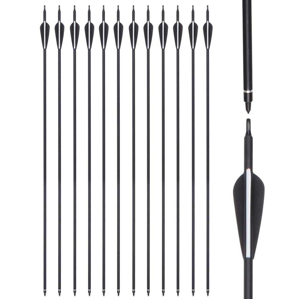 Archery Bow Carbon Arrow Hunting Target Practice Arrows 26 Inch with Removable Tips for Compound & Recurve Bow Spine 500 12 PCS