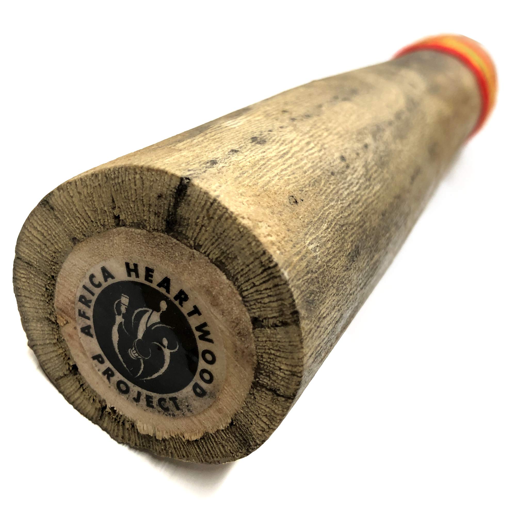 Africa Heartwood Project 10" Cactus Rainstick from Chile - Authentic Handcrafted Rain Stick Musical Instrument with Rasta Yarn Wrap and Durable Sealant