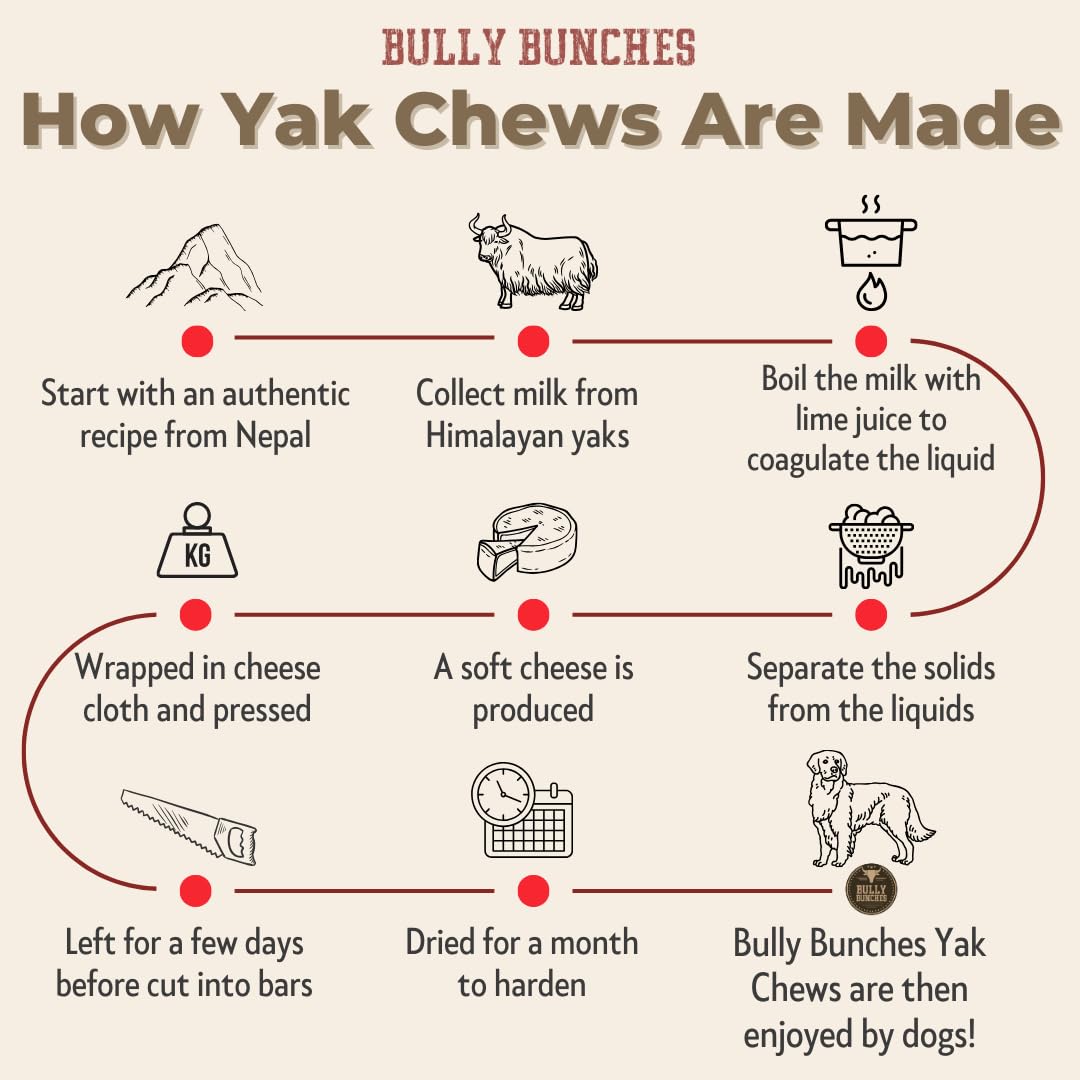 Bully Bunches Mega Authentic Yak Cheese Himalayan Chews for Giant Dogs & Super Aggressive Chewers - All Natural Dog Treat Dental Chews, Made with Real Yak Milk - Lactose & Rawhide Free (2 PK)