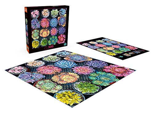 Buffalo Games - Sweet Succulents - 300 Large Piece Jigsaw Puzzle Multicolor, 18"L X 18"W