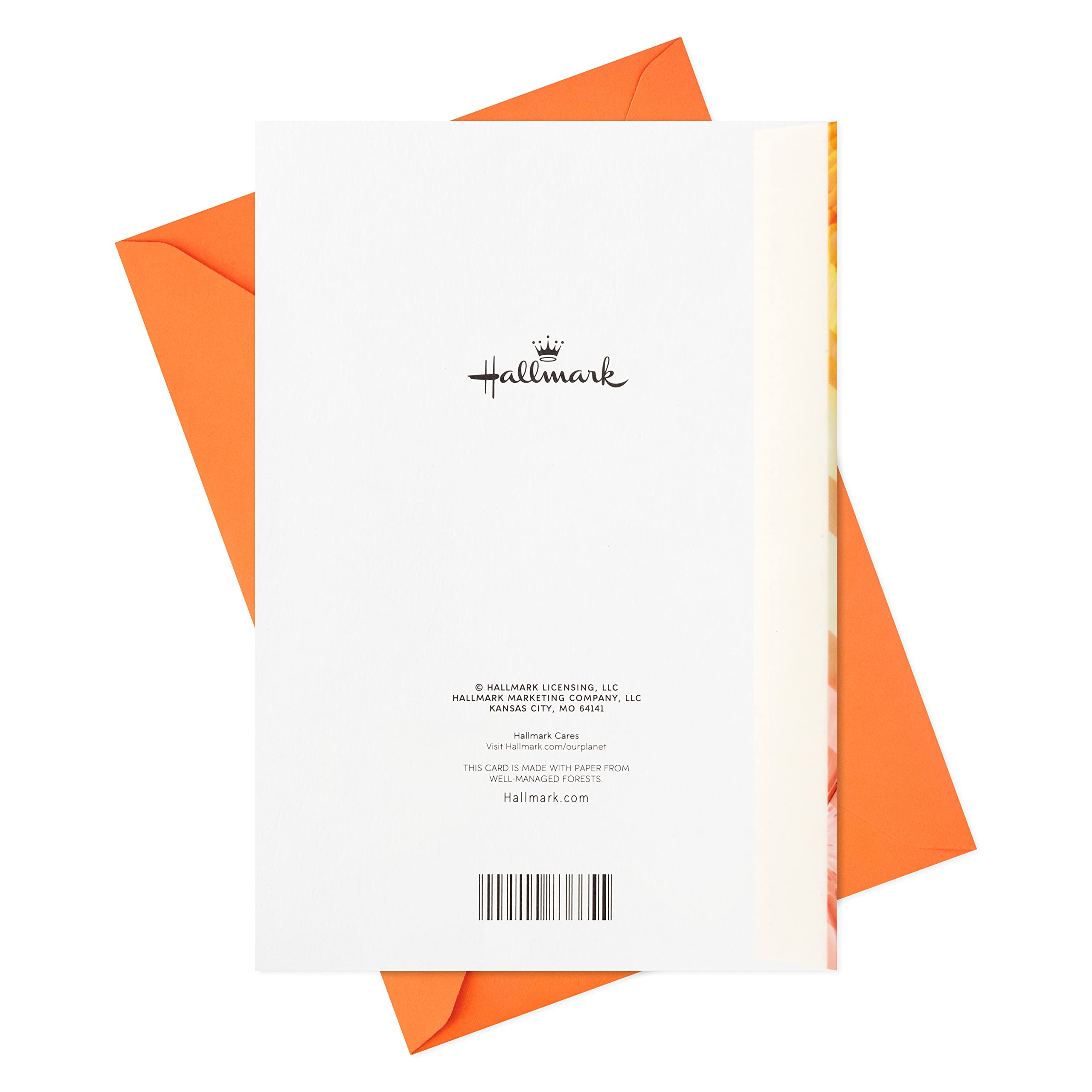 Hallmark 90th Birthday Card (90 Years Young)