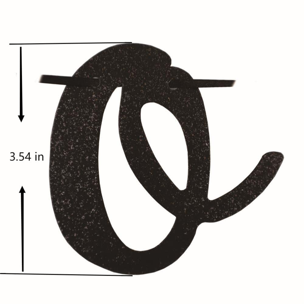 Holy Shit You're 25 Banner -Funny 25 Years Old Birthday Decorations Men/Women's 25th Birthday Party Sign Props (Black)