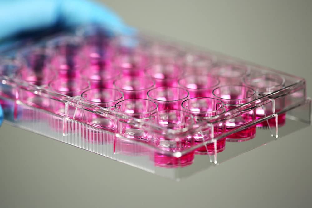 Nest Scientific 701002 96 Well Cell Culture Plate, Flat, TC, sterile 10/pk, 100/cs