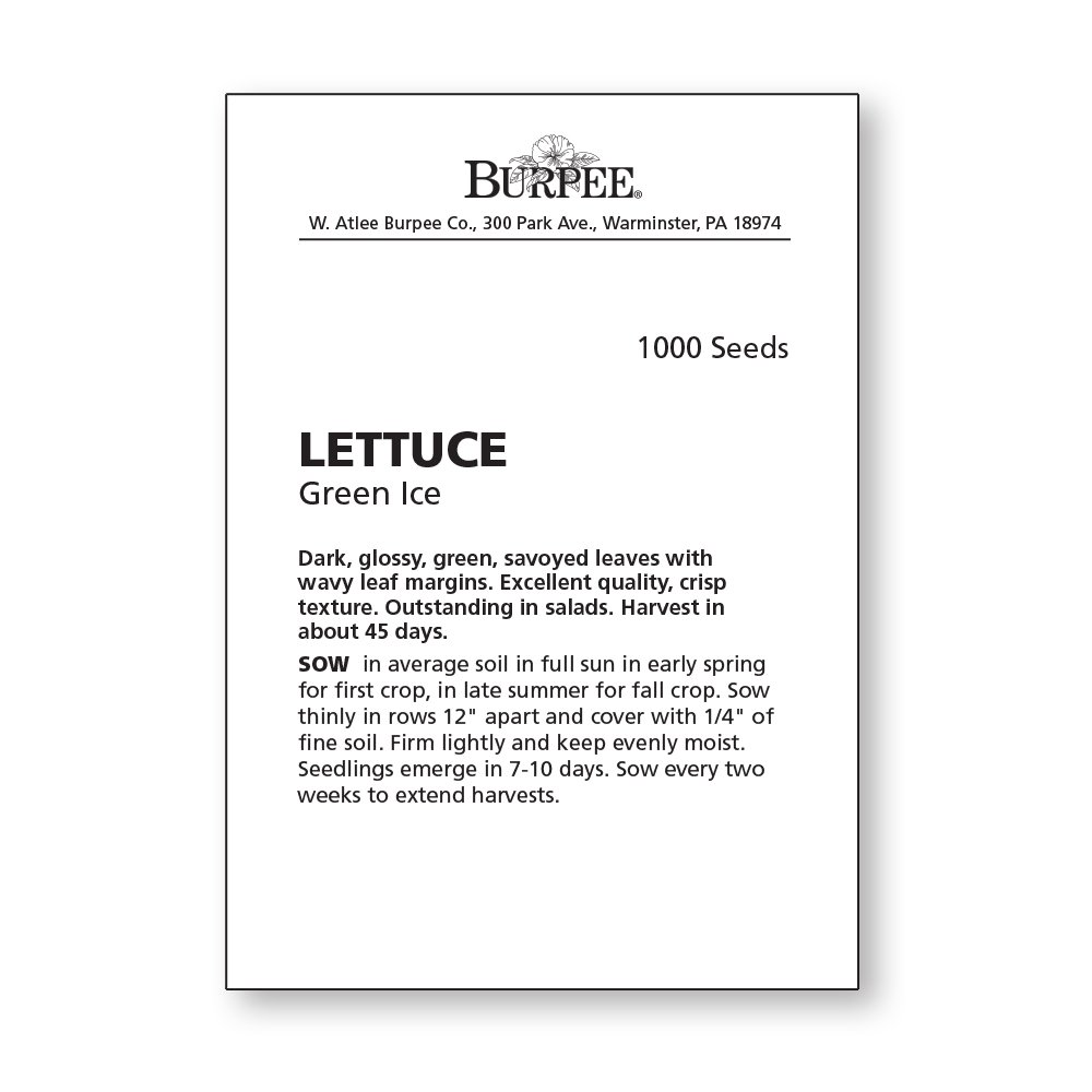 Burpee Green Ice Lettuce Seeds 1000 seeds