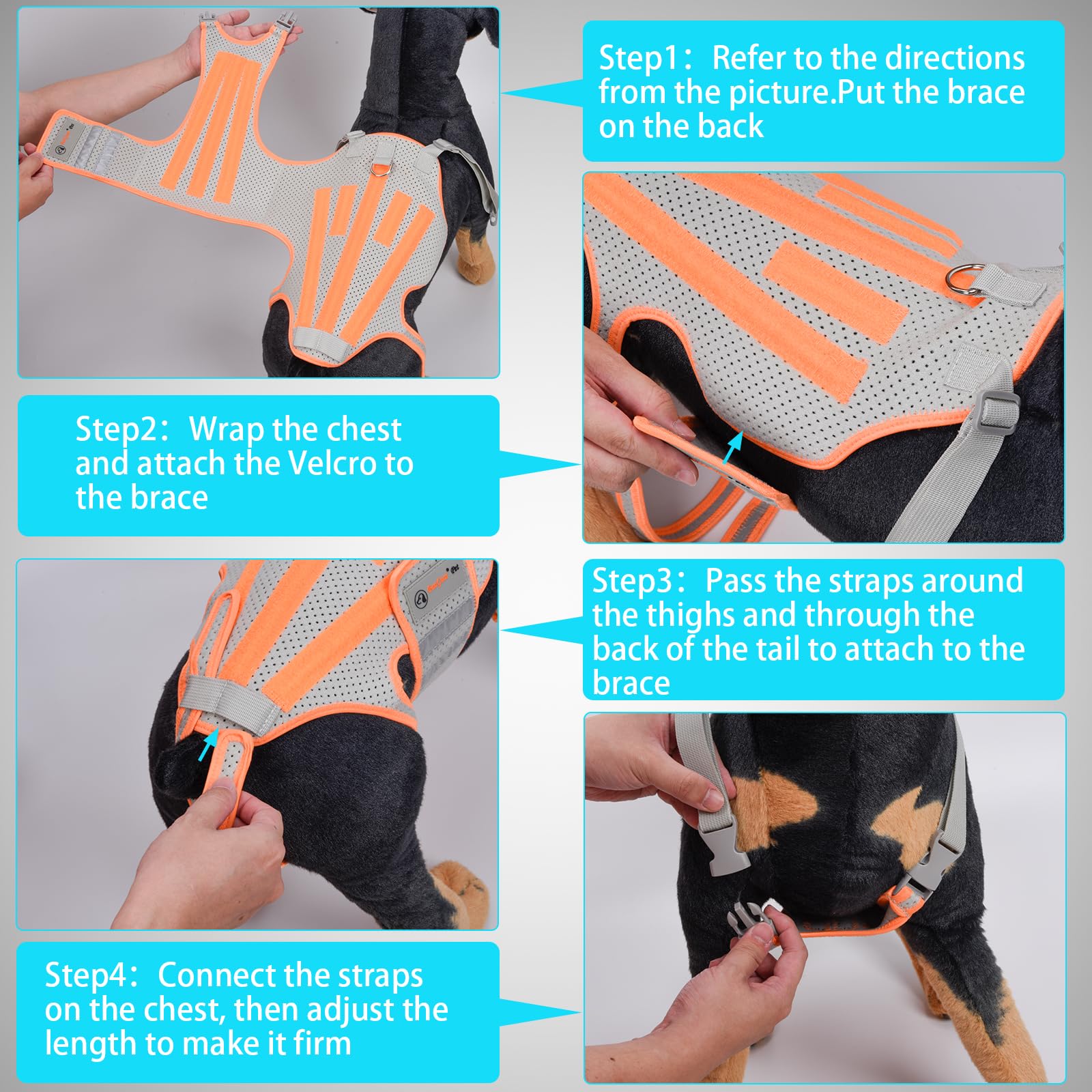 BaoGuai Dog Back Brace for Arthritis, Dog Hip Brace for IVDD, Frame Support Harness for Back,Keeps The Back Stable and Reduces Movements and Pains (XL)