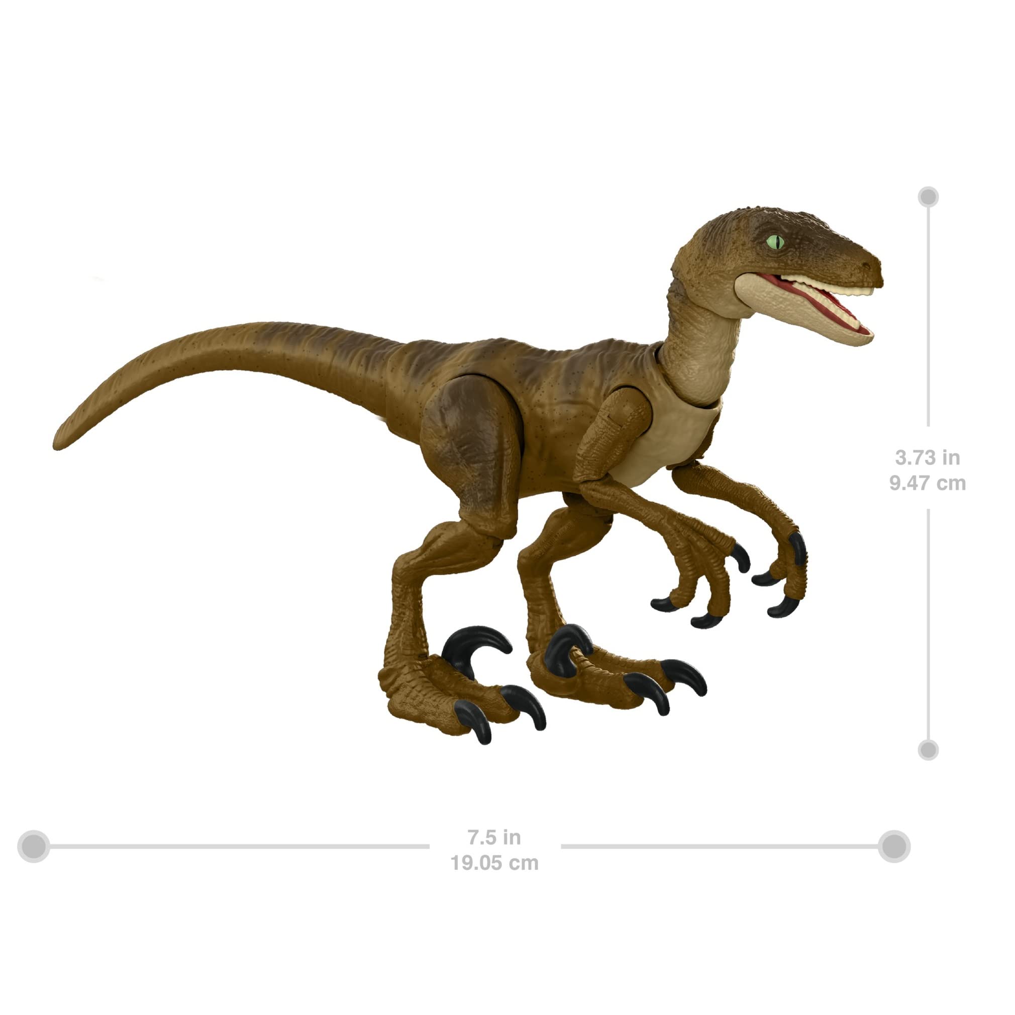 Jurassic World Toys Jurassic Park Hammond Collection Velociraptor Dinosaur Action Figure, 7.5 in Long with 14 Movable Joints, Gift and Collectible