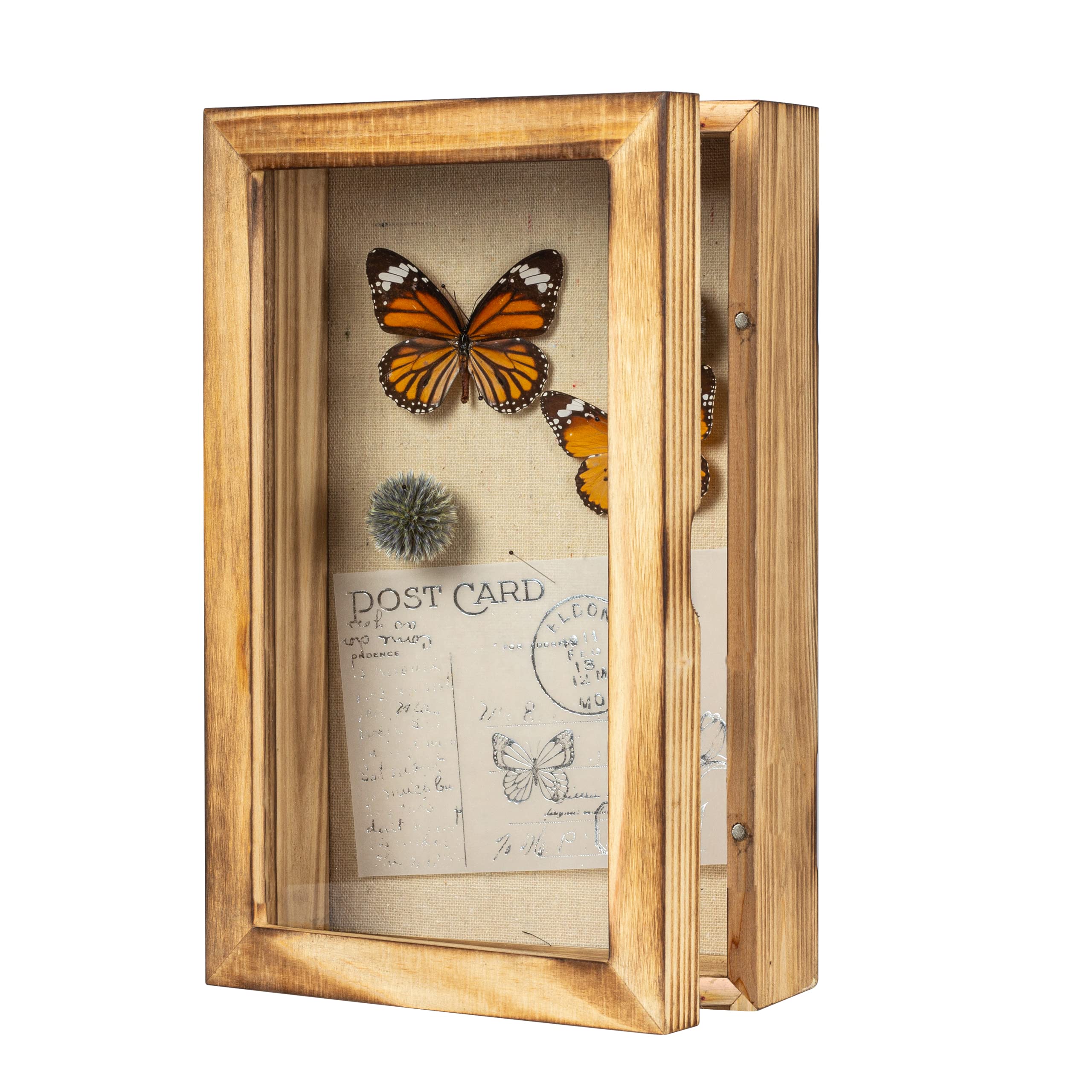 BalterFF Insect Display Case Wall Mount 7×11 Butterfly Shadow Box Frames with Linen Back Memorabilia Awards Medals Photos Rustic Flower Memory Box